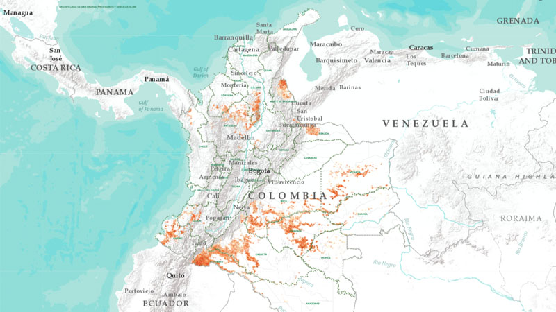 Así fue la expansión del cultivo de hoja de coca en la región